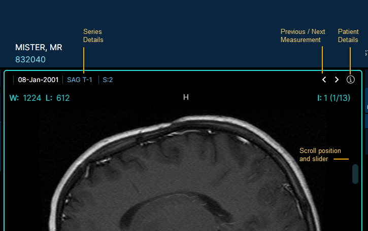 Viewport – FlexView User Guide